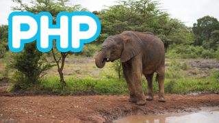 PHPで空白を消すtrim関数の使い方！(trim, ltrim, rtrim) | コードライク